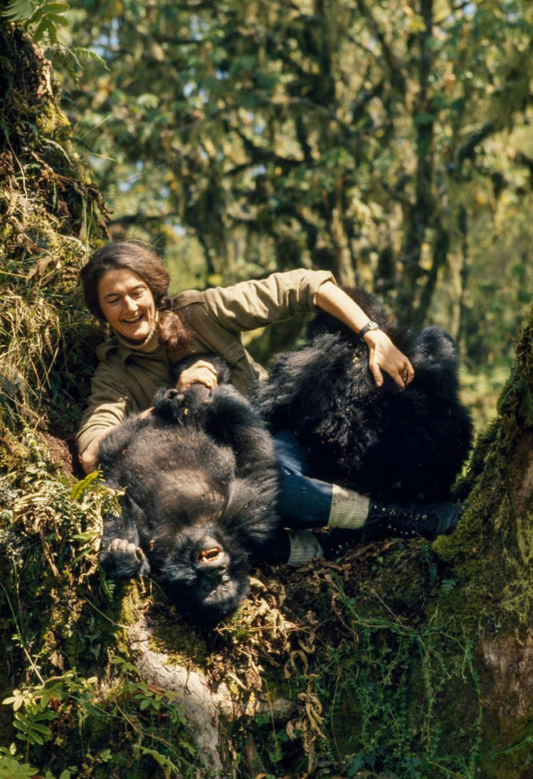 ValerieMangin.com | Femme du jour : Dian Fossey